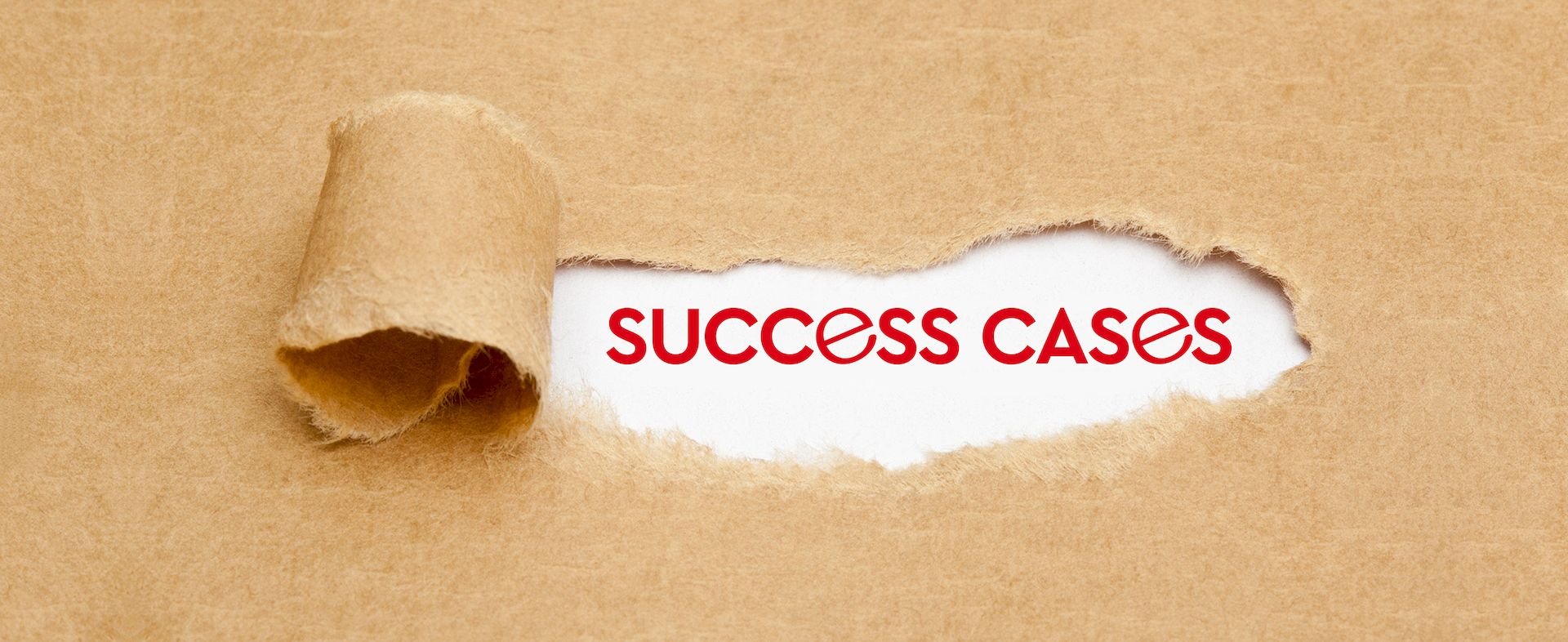 Success Cases Espositori in cartone ondulato | SiEnergie